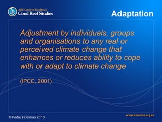 Adapting to Climate Change at Multiple Governance Levels | PPT