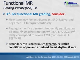 How to evaluate Functional MR. Why differences US vs EU? | PPT