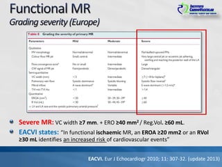 How to evaluate Functional MR. Why differences US vs EU? | PPT