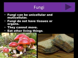 Pedro science project | PPT