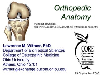 Peds ortho-anatomy | PDF
