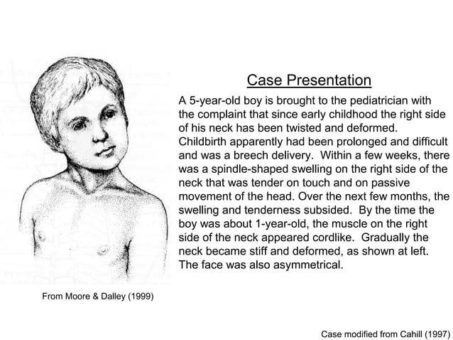 Peds ortho-anatomy | PDF
