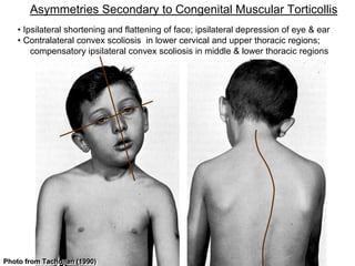 Peds ortho-anatomy | PDF
