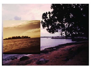 Childhood Tuberculosis and Community Healthcare_Alan Talens_5.8.14