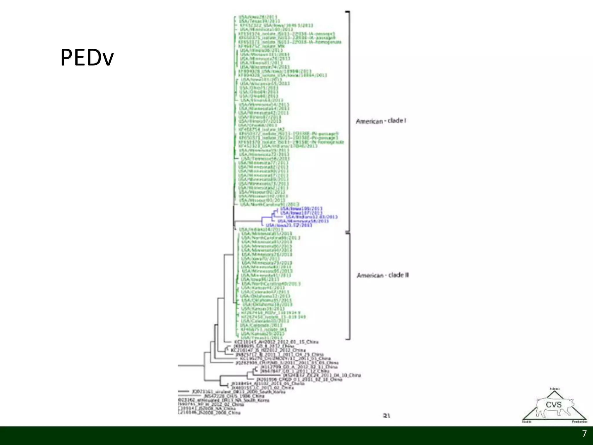PEDv Panel | PPTX