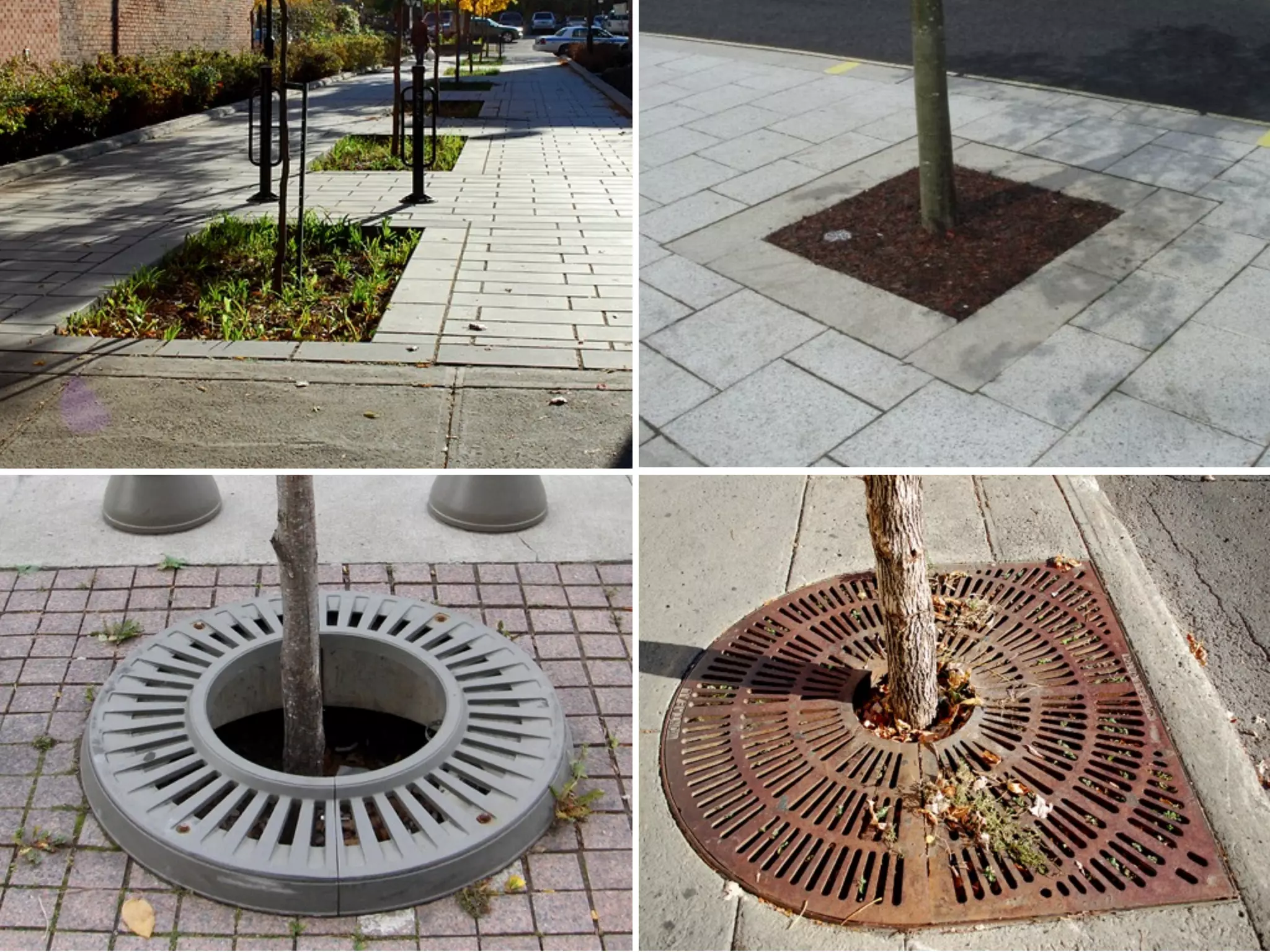 Pee-Powered Sidewalk Lighting | KEY