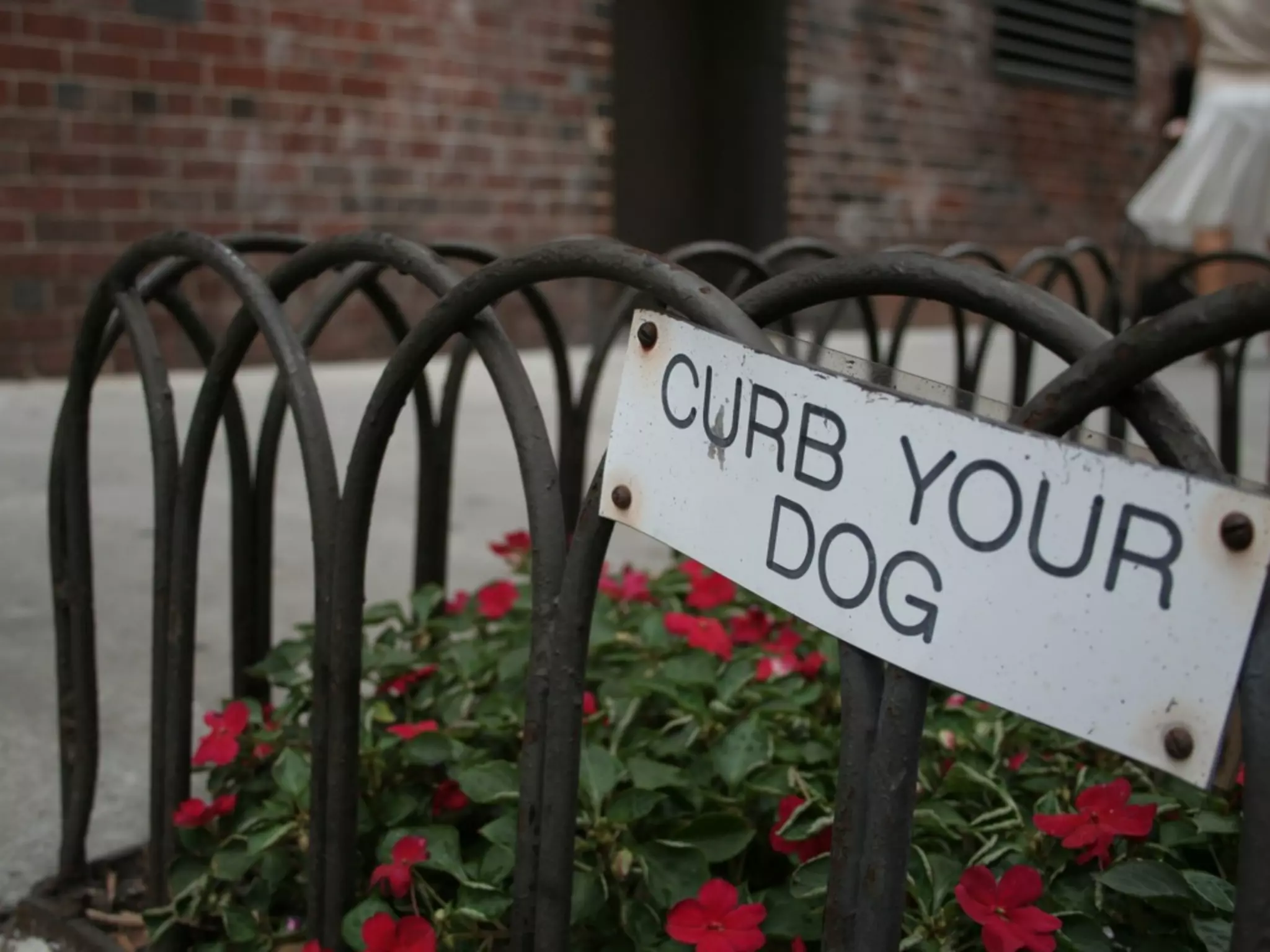 Pee-Powered Sidewalk Lighting | KEY