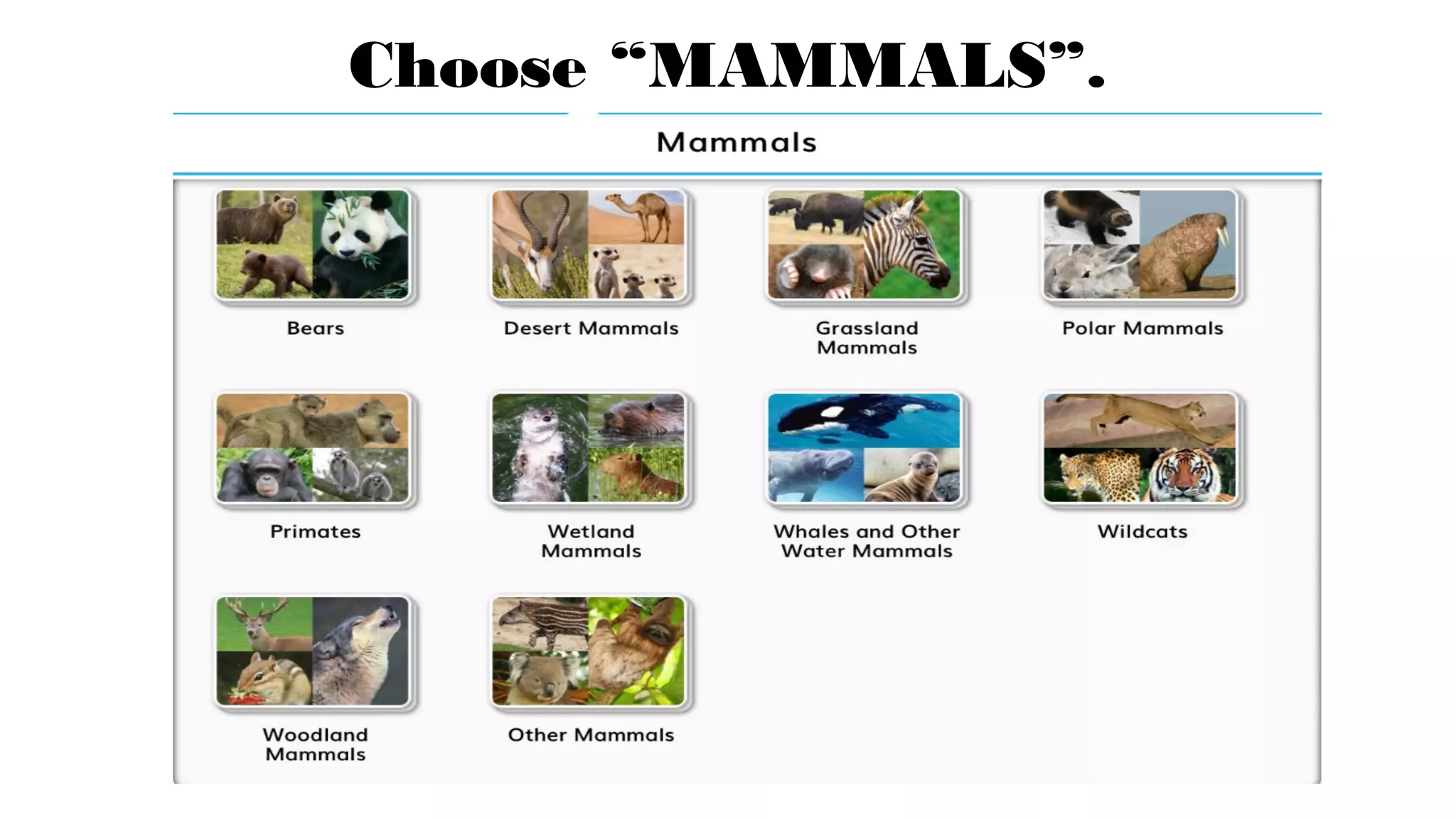 Intro to Pebble go! | PPT