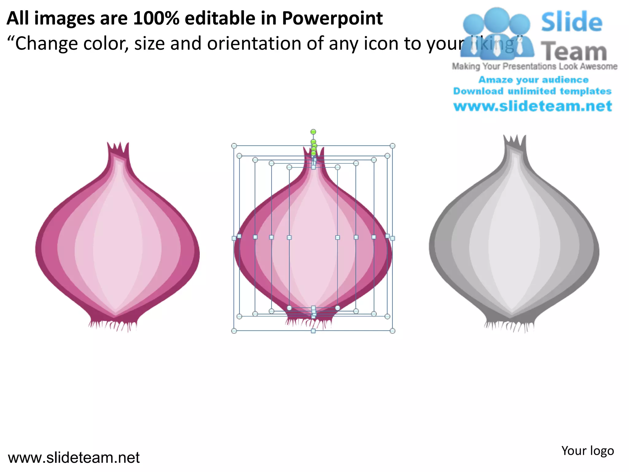 Peel the onion powerpoint presentation templates. | PDF