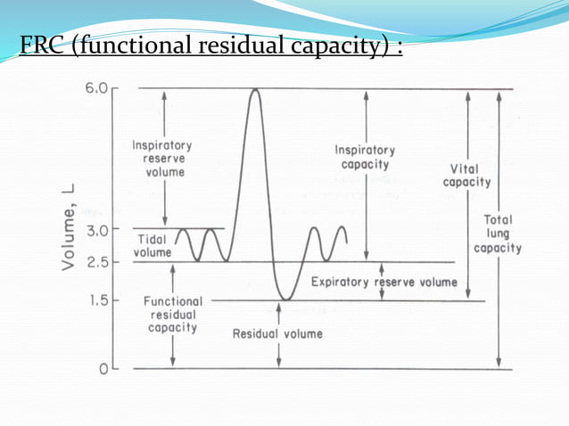 Peep & cpap | PPTX | Lung and Respiratory Health | Diseases and Conditions