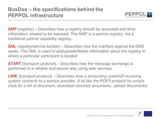 PEPPOL Online Workshop 1 Overview | PPTX