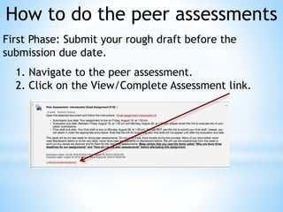Peer assessment instructions | PPTX