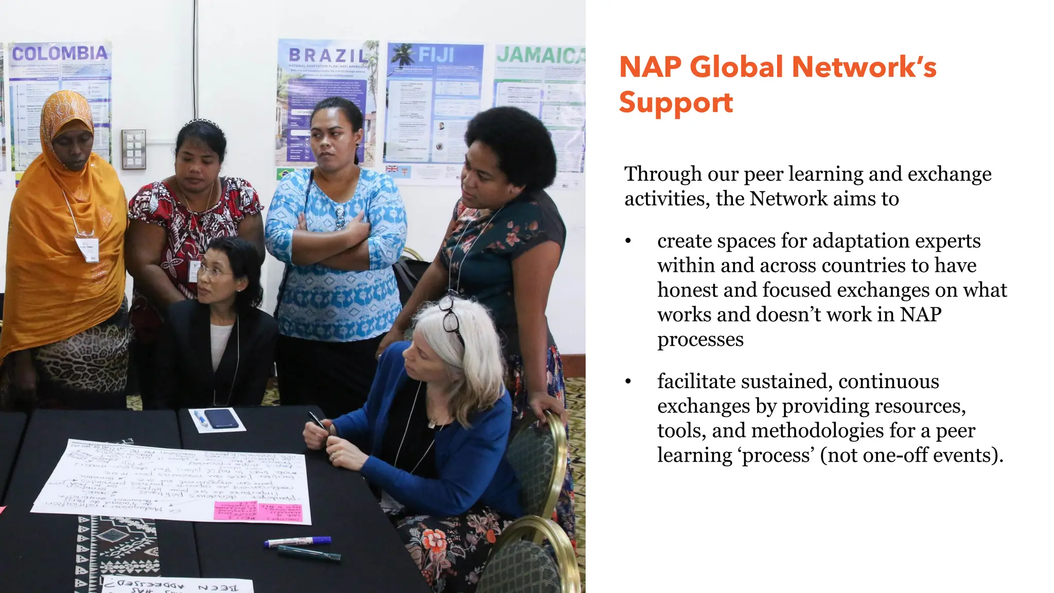 The NAP process & South-South peer learning | PPT