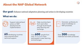 The NAP process & South-South peer learning | PDF | Business | Business and Finance