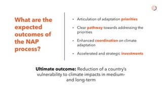 The NAP process & South-South peer learning | PDF | Business | Business ...