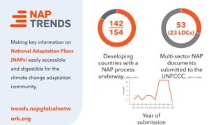 The NAP process & South-South peer learning | PDF | Business | Business and Finance