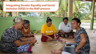 The NAP process & South-South peer learning | PDF | Business | Business ...