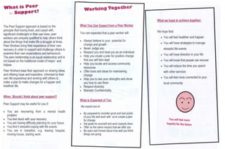 Mental Health Peer Support Brochure | PPT
