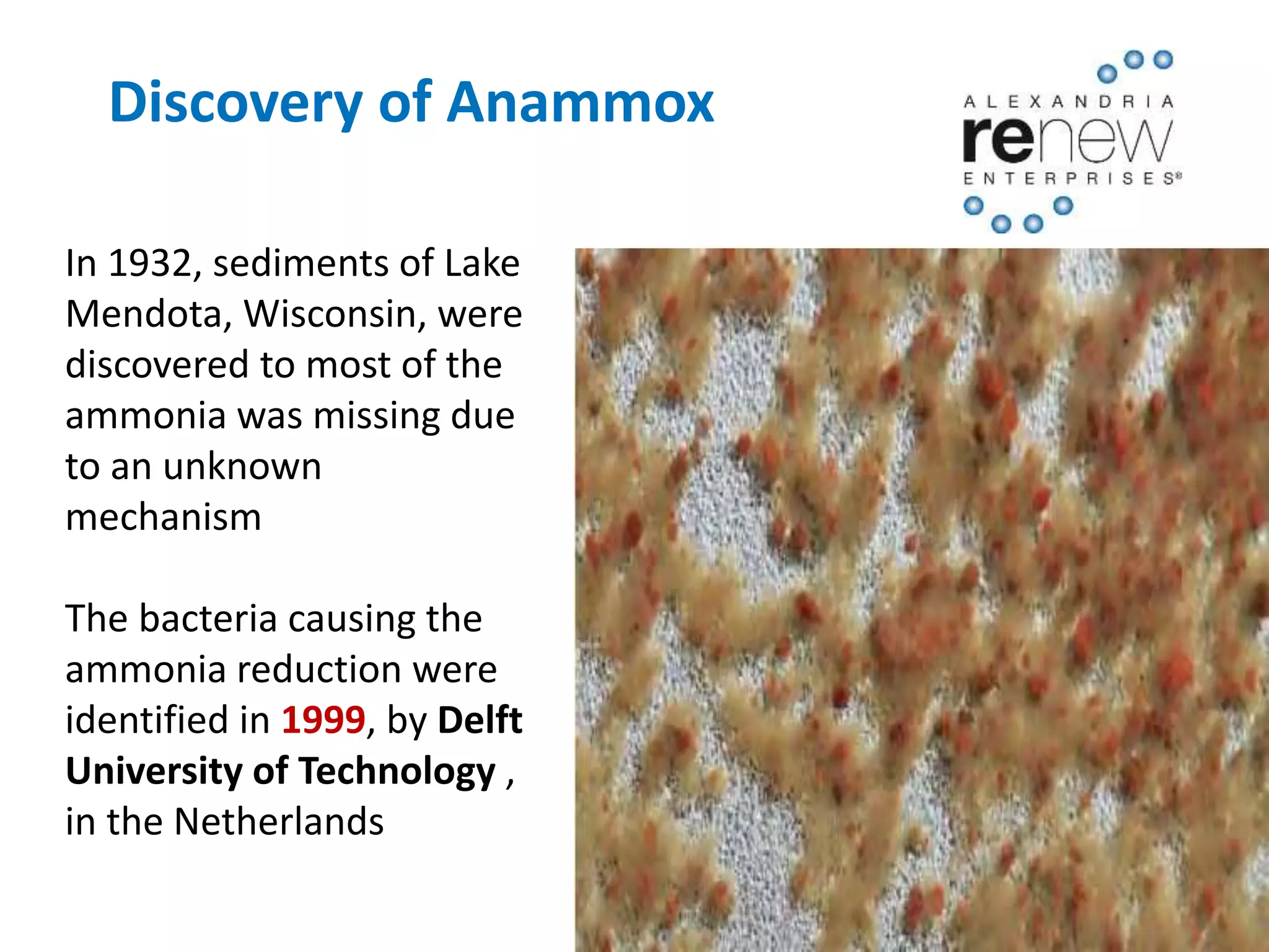 Alexandria Renew Presentation | PPTX