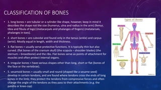 peer tutorial for body systems and anatomy | PPT
