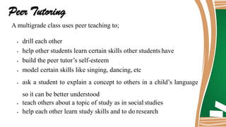 Peer Tutoring.pdf