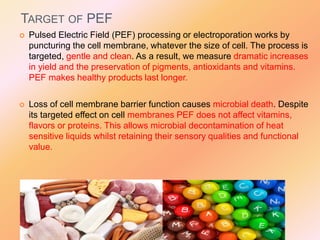 Pef technology | PPT