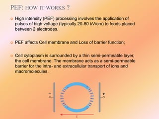 Pef technology | PPT