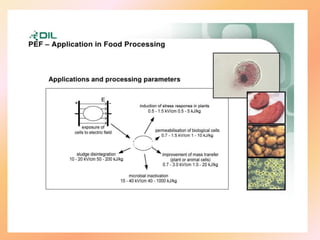 Pef technology | PPT