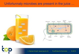 PEF and PurePulse for dummies - part 1 | PPTX | Food & Drink