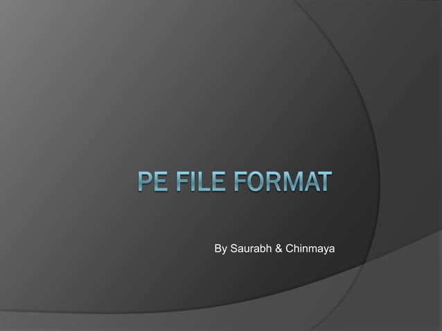 PE File Format | PDF