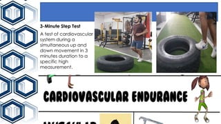 PE fitness test.pptx