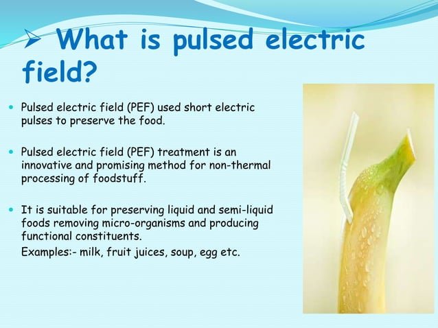 pulse electric field | PPT