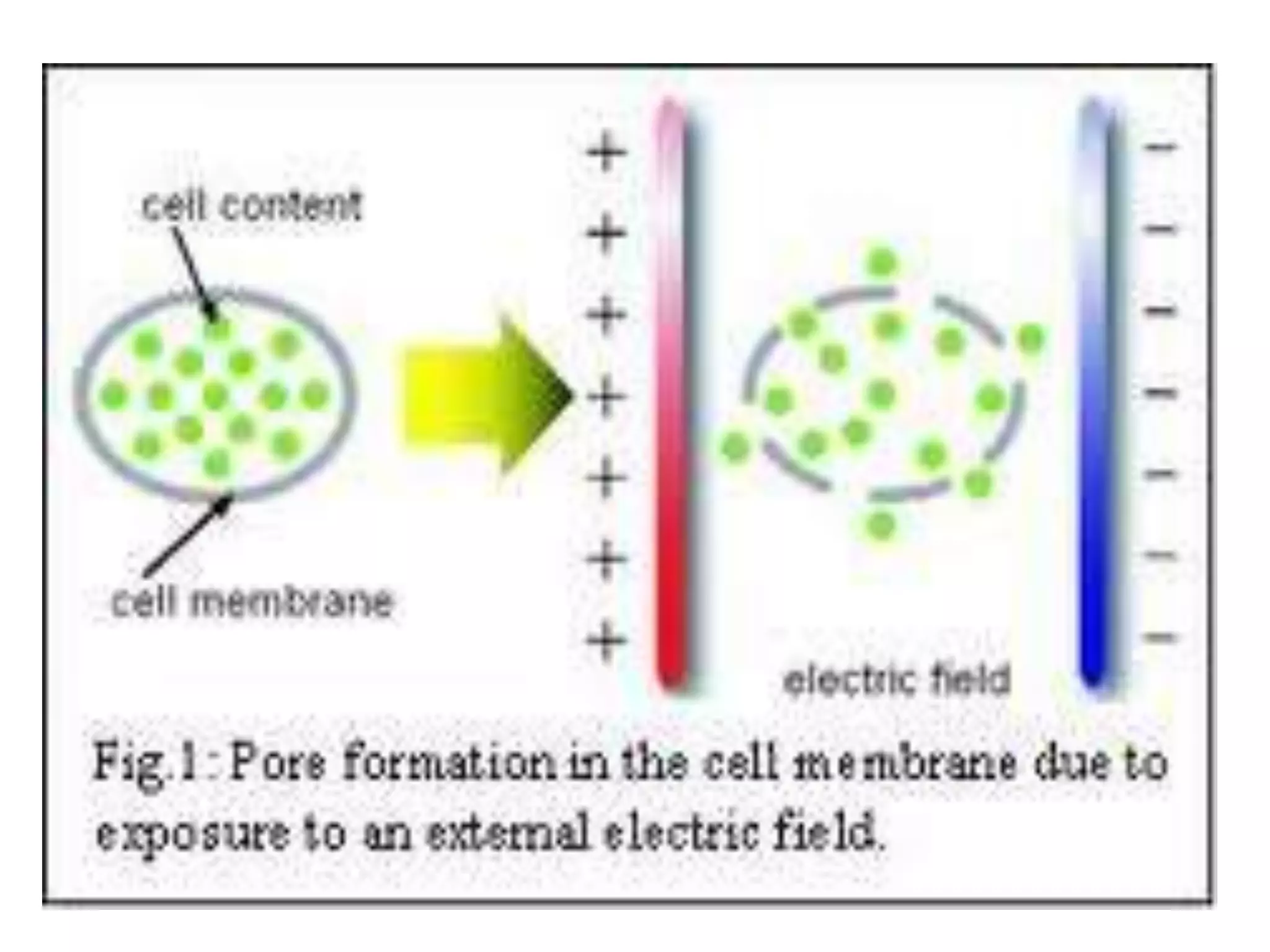 Pulsed electric field | PPTX