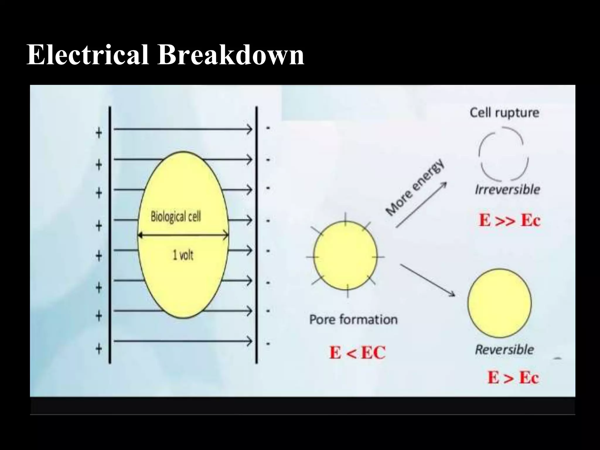 pulse electric field in food | PPTX