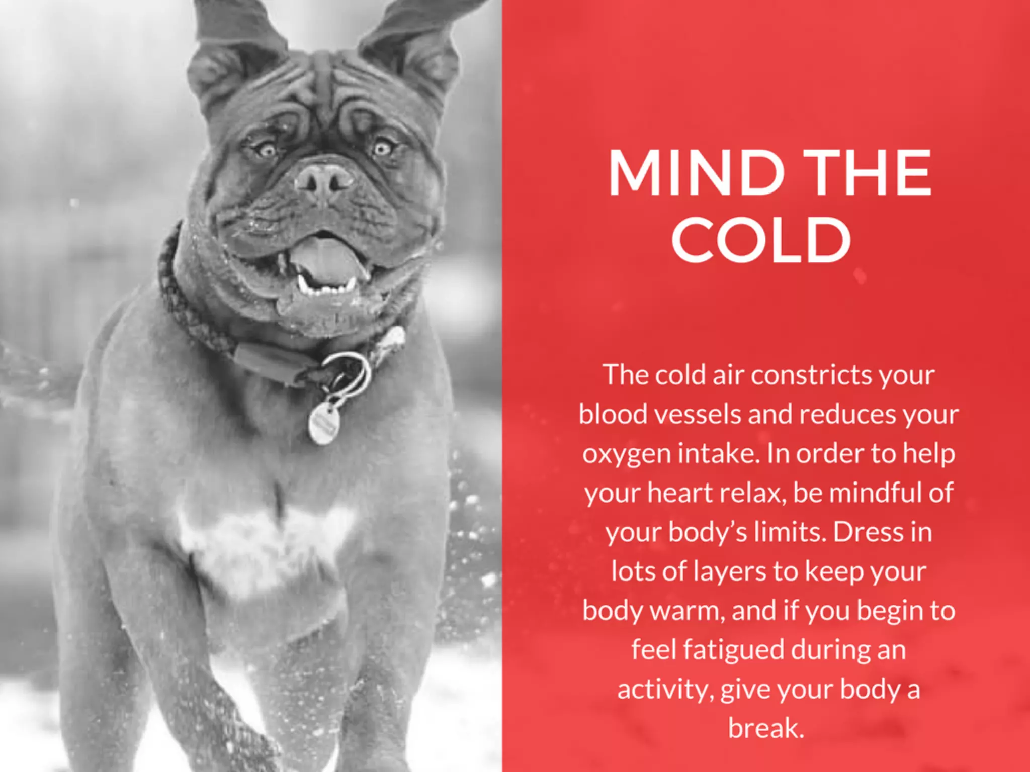 Stay Heart Healthy This Winter | PDF