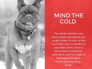 Stay Heart Healthy This Winter | PDF