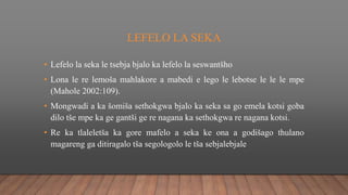 Pego- Bapulana (Hatfield).pptx