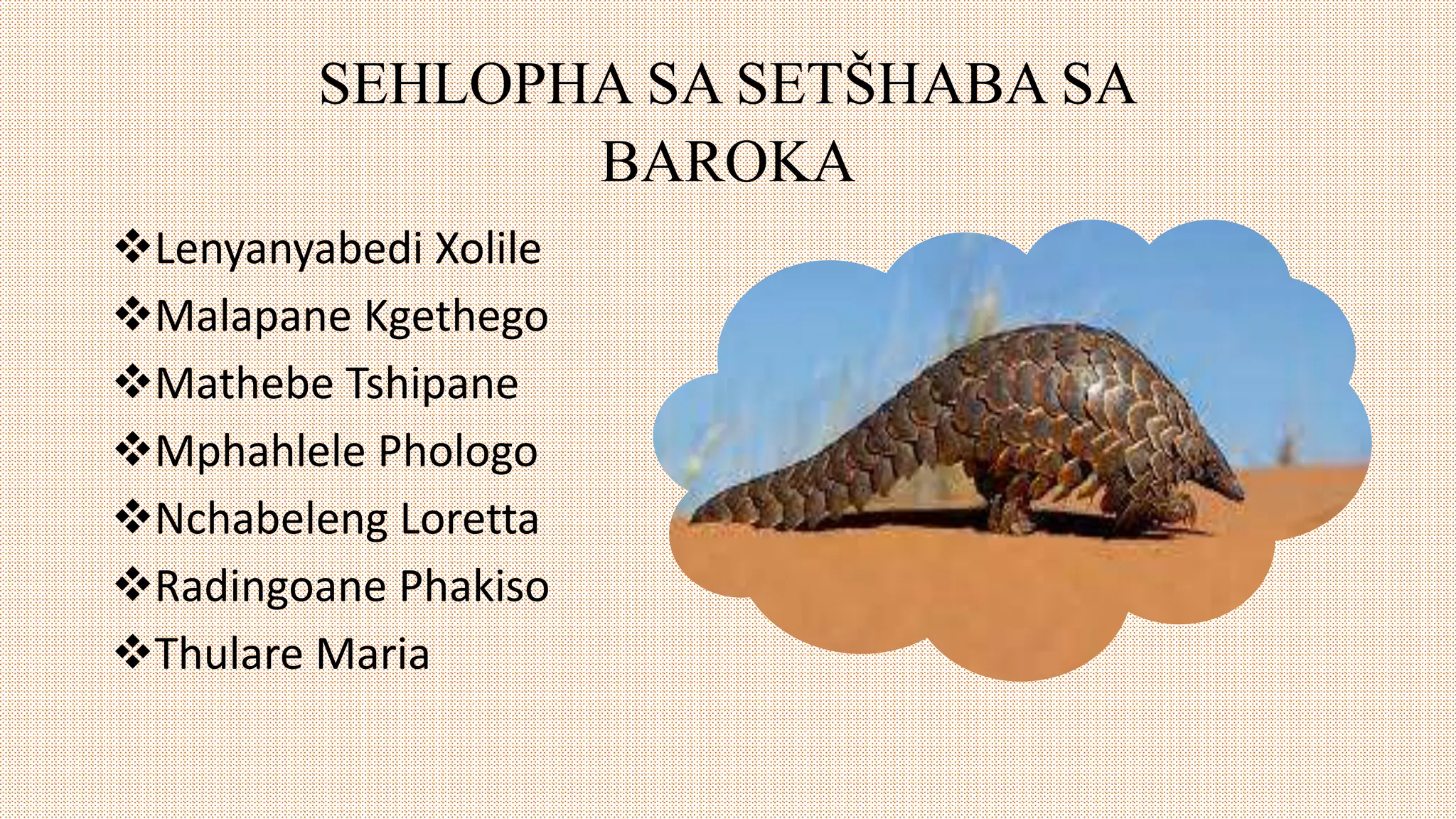 PEGO_SETSHABA_SA_BAROKA_(1)_FINAL_ TUESDAY 1.pptx