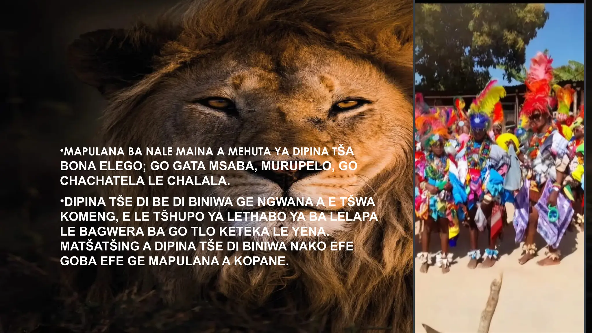 Kakaretšo ya sebopego sa sengwalwa .pptx