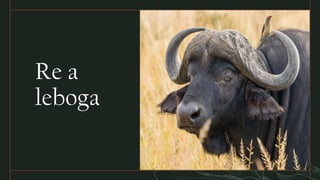 Pego ya Molaetša wa A tla a hwa letswalo.pptx