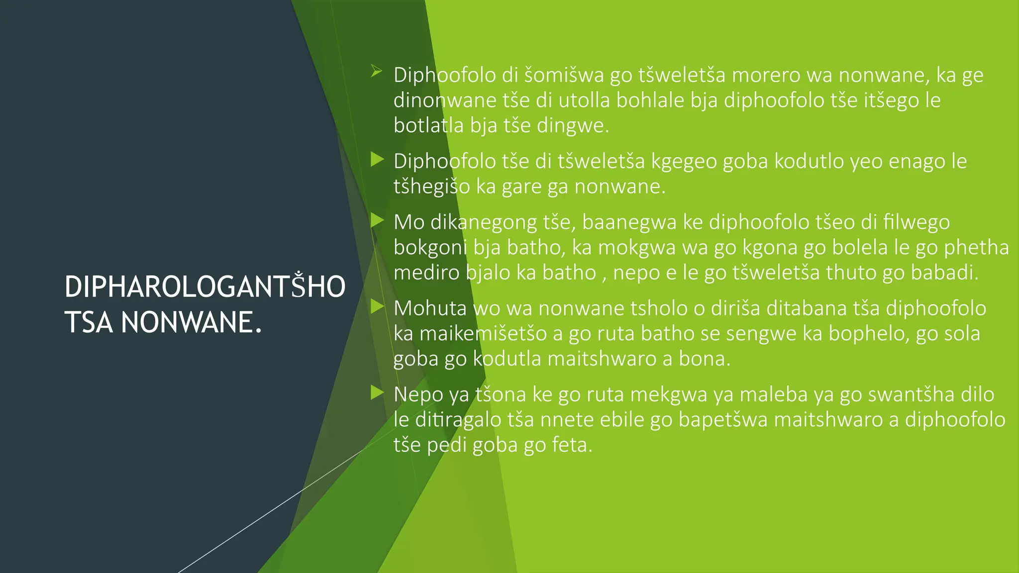 AFT 220 Nonwane ya Tsholo ka ga sehlopha sa Tlhokwana | PPTX