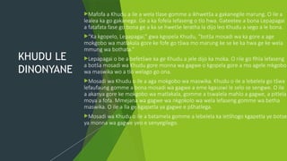 AFT 220 Nonwane ya Tsholo ka ga sehlopha sa Tlhokwana | PPTX