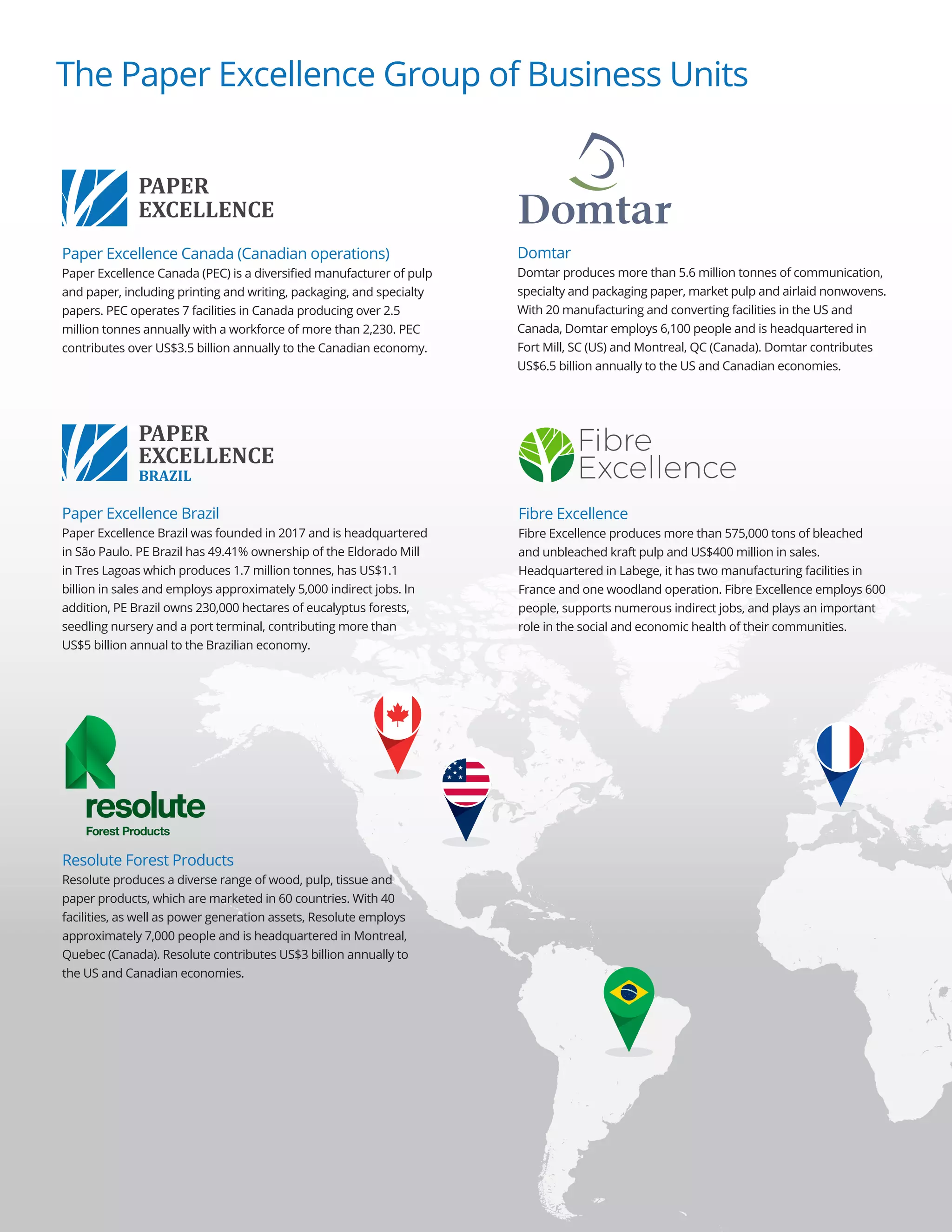 Paper Excellence | Global Producer | PDF | Large Business | Business