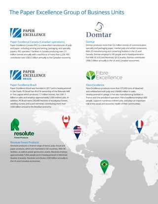Paper Excellence | Global Producer | PDF | Large Business | Business