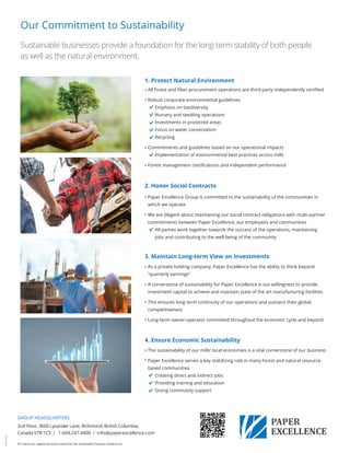 Paper Excellence | Global Producer | PDF | Large Business | Business