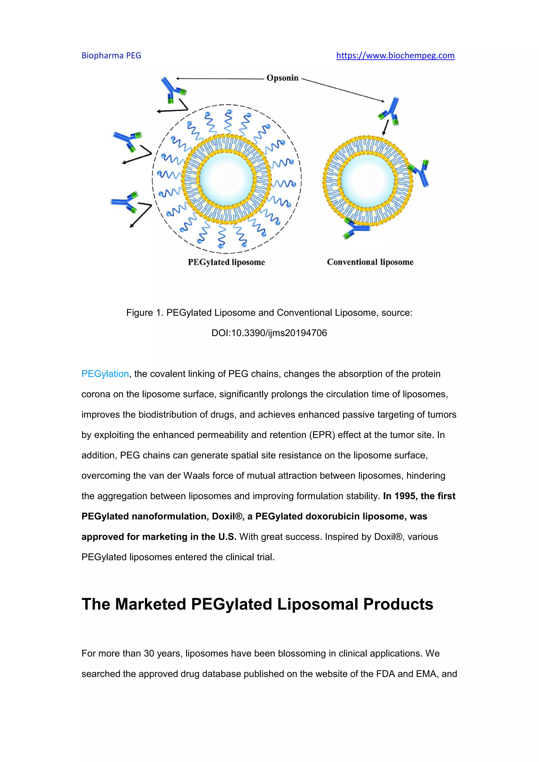 PEGylated Liposomes in the Clinic and Clinical Trials.pdf