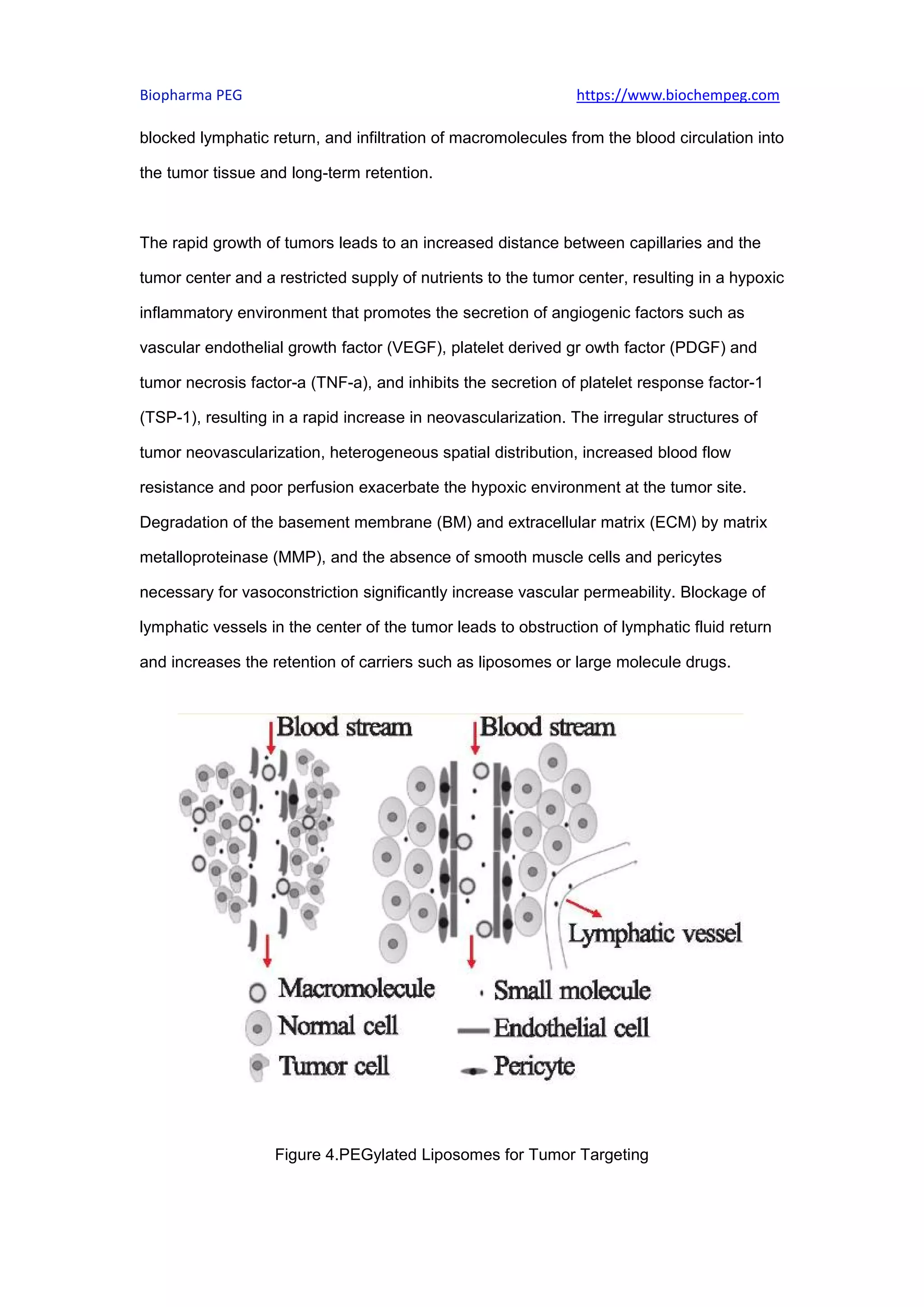 PEGylated Liposomes in the Clinic and Clinical Trials.pdf