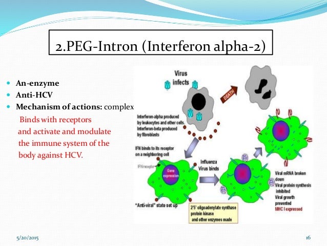 Pegylation of protiens drugs