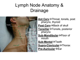 Pe headneckexam | PPT