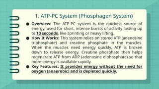 Grade11PEHLesson 2-4_Energy Systems.pptx